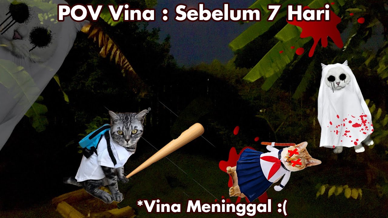 Pov : Vina Sebelum 7 Hari HORROR!! | meme kucing 🤣 33 - YouTube