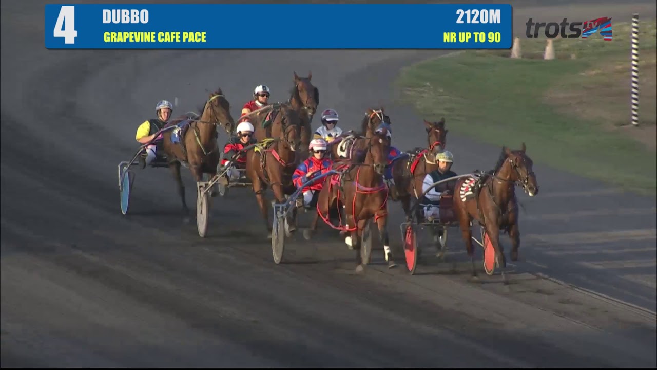 DUBBO - 22/01/2020 - Race 4 - GRAPEVINE CAFE PACE - YouTube