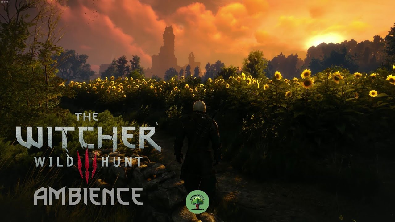 Cozy Sunset in a Sunflower Meadow 🌻 Witcher 3 Ambience & Music – Sleep ...
