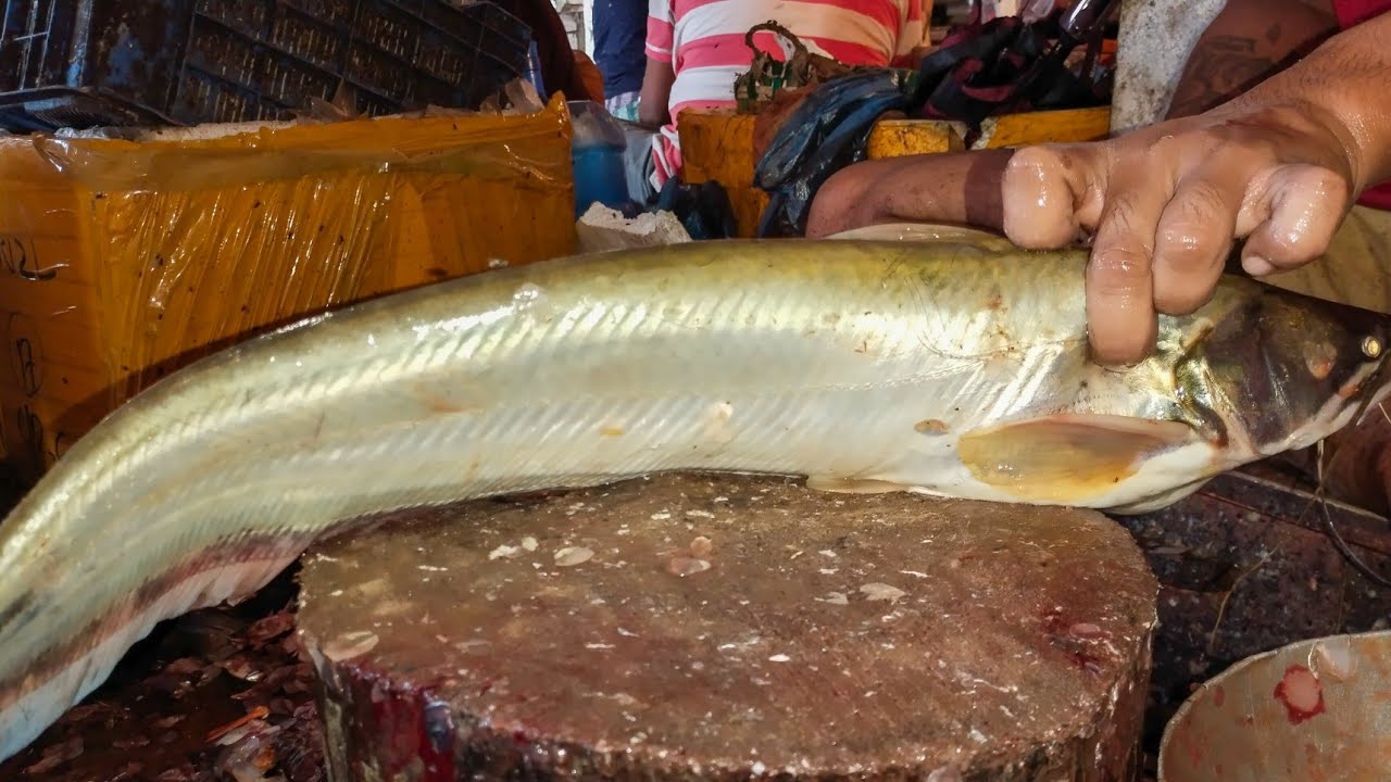 Amazing Wallago Atto Fish Cutting By Expert Fish Cutter। Wallago atto ...