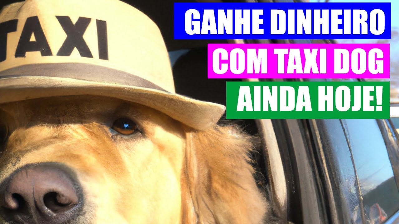 Comece seu negócio de TAXI DOG ainda HOJE - YouTube