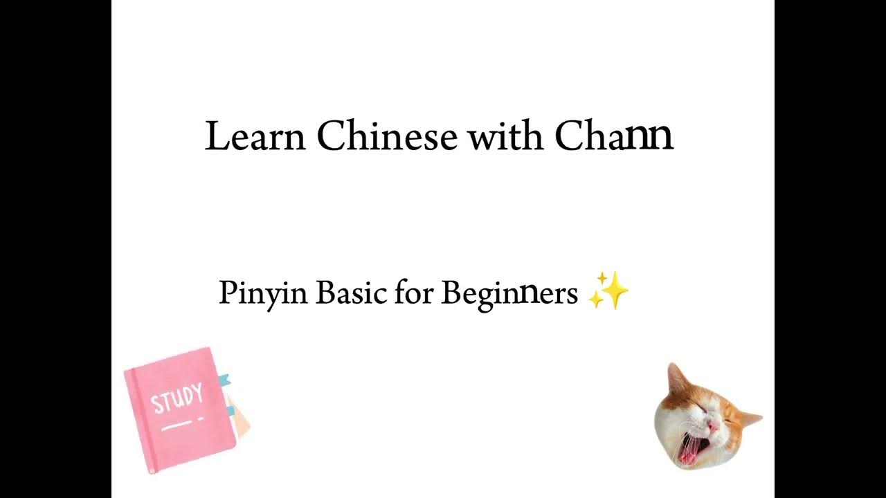 တရုတ်စာ Pinyin အခြေခံဗျည်း အသံထွက် B P M F D T N L G K H Youtube