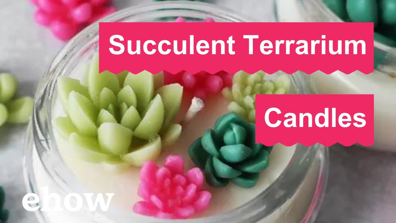 Succulent Terrarium Candles for Greenery & Glow - YouTube