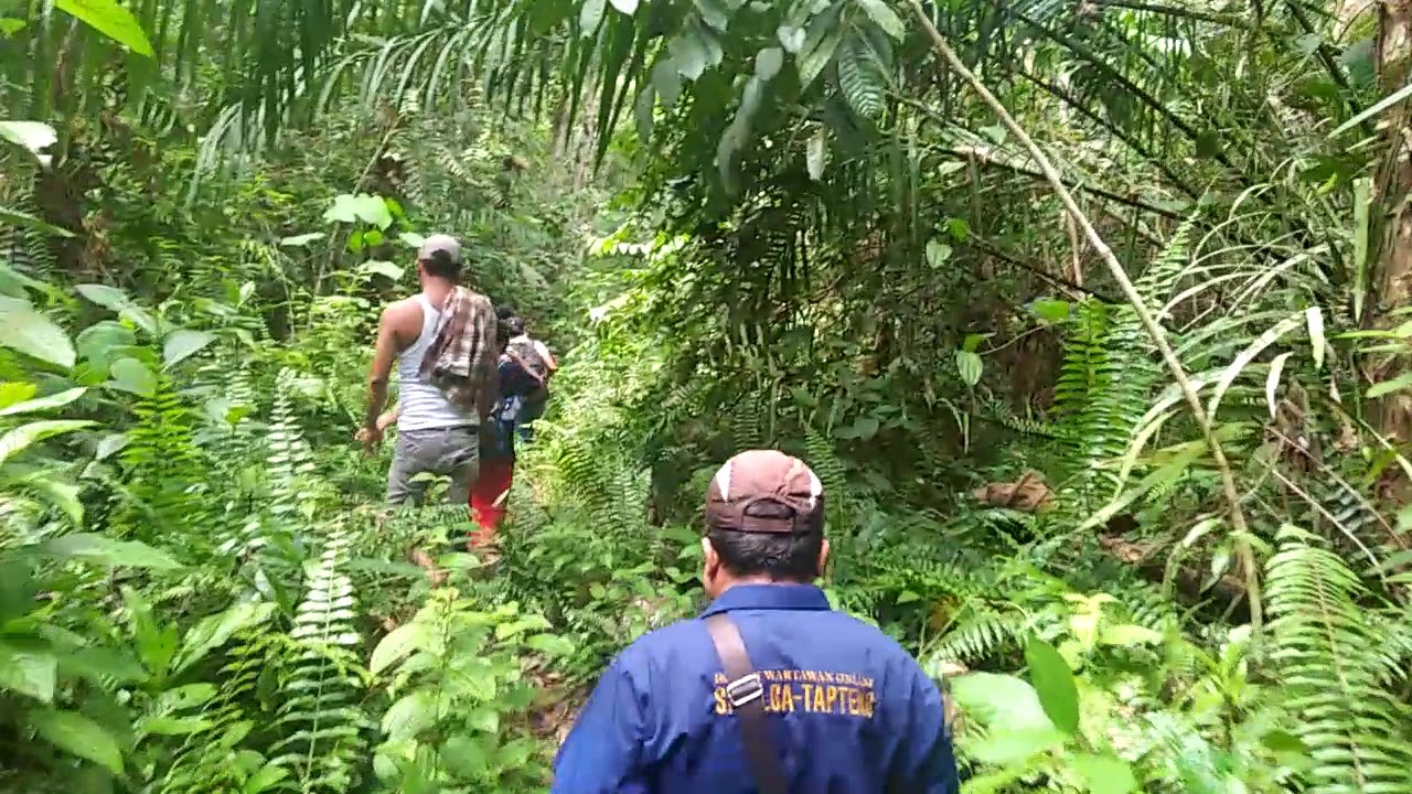 Petualangan Inovasi Desa di Kecamatan Manduamas - YouTube