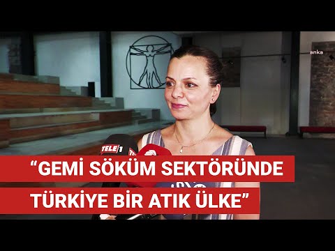 Kınay: Gemi söküm sektöründe Türkiye bir atık ülke