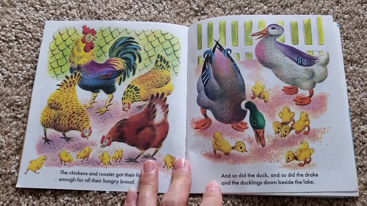 Storytime with A & N "The Jolly Barnyard" - YouTube
