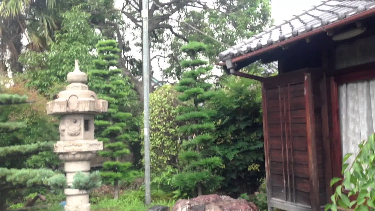 BEAUTIFUL JAPANESE GARDEN IN THE RAIN - YouTube