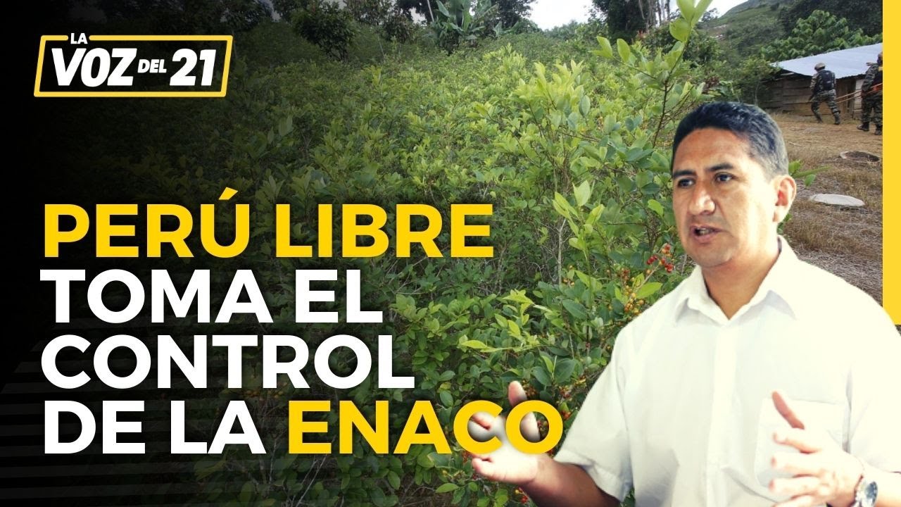 PERÚ LIBRE toma el control de la Empresa Nacional de la COCA ENACO ...