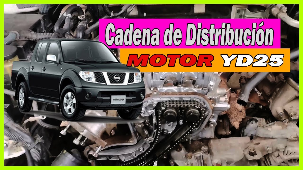 Tiempo de Distribución MOTOR YD25DDTI - YouTube