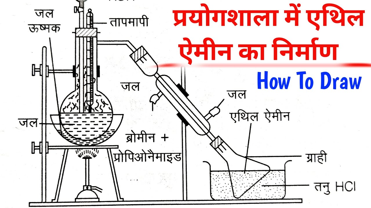 How to draw a diagram of the formation of ethyl amine in the laboratory ...