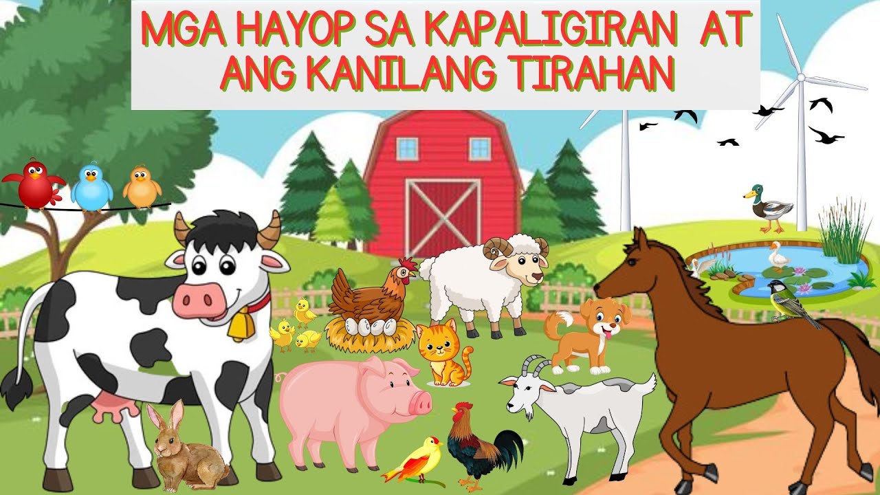 MGA HAYOP SA KAPALIGIRAN AT ANG KANILANG TIRAHAN| MGA HAYOP| 4th ...