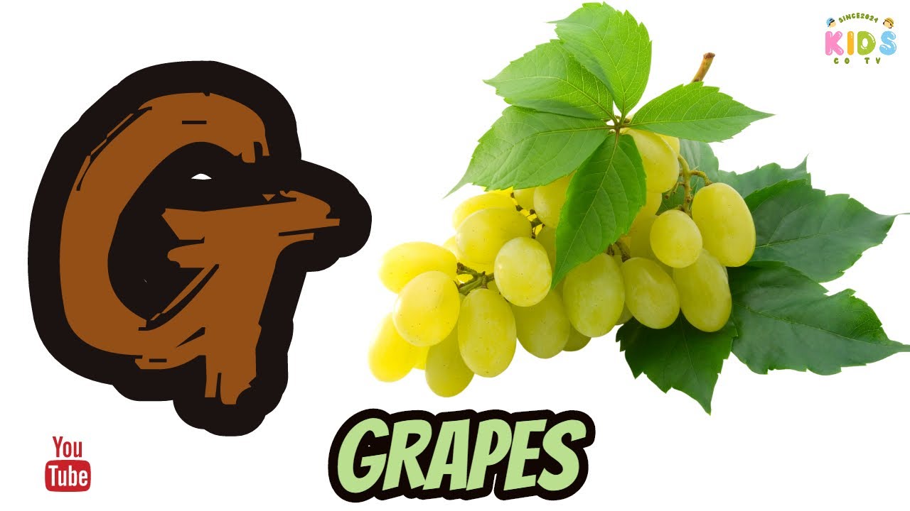 G for grapes|| G is for Grapes|| kids learning|| ABC Alphabet || kids ...
