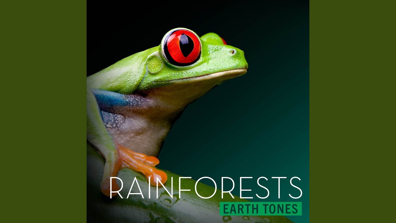 The Rain Gain - YouTube