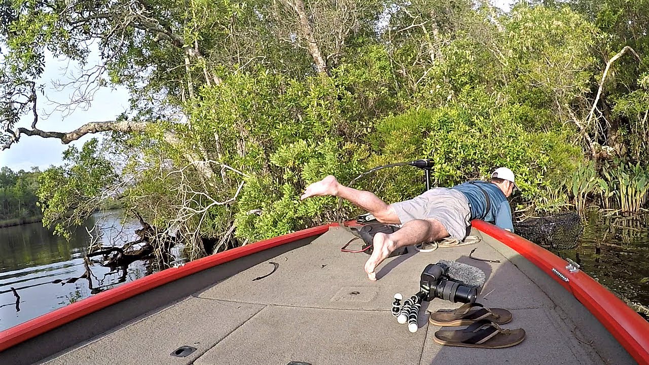 Mission to Catch a Pet Baby Turtle!! - YouTube