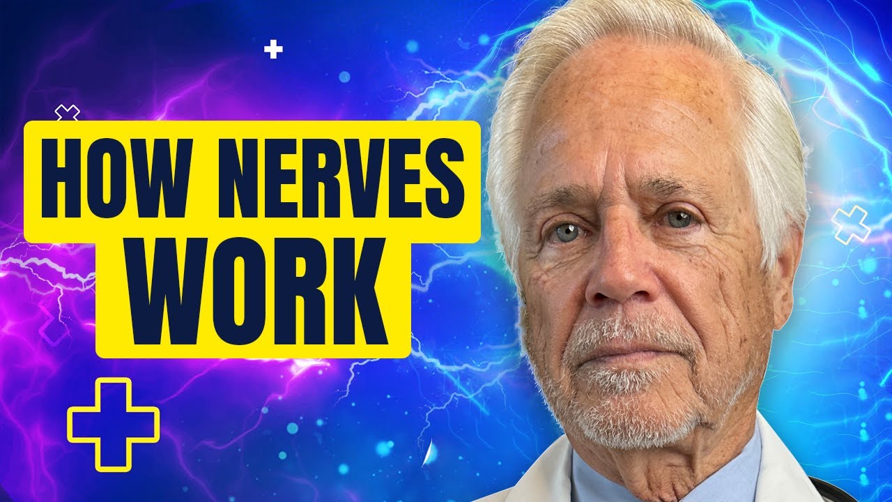 Training | How nerves work - YouTube
