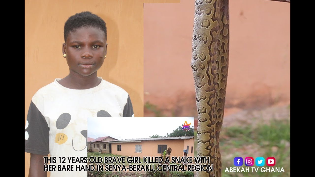 12 YEARS OLD GIRL KILLED SNAKE WITH HER BARE HAND AT SENYA-BERAKU - YouTube