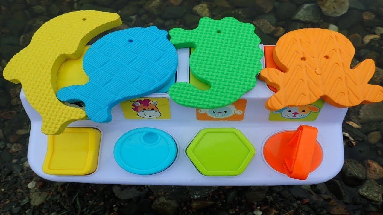 Pop Up Toys Sea Animals - YouTube