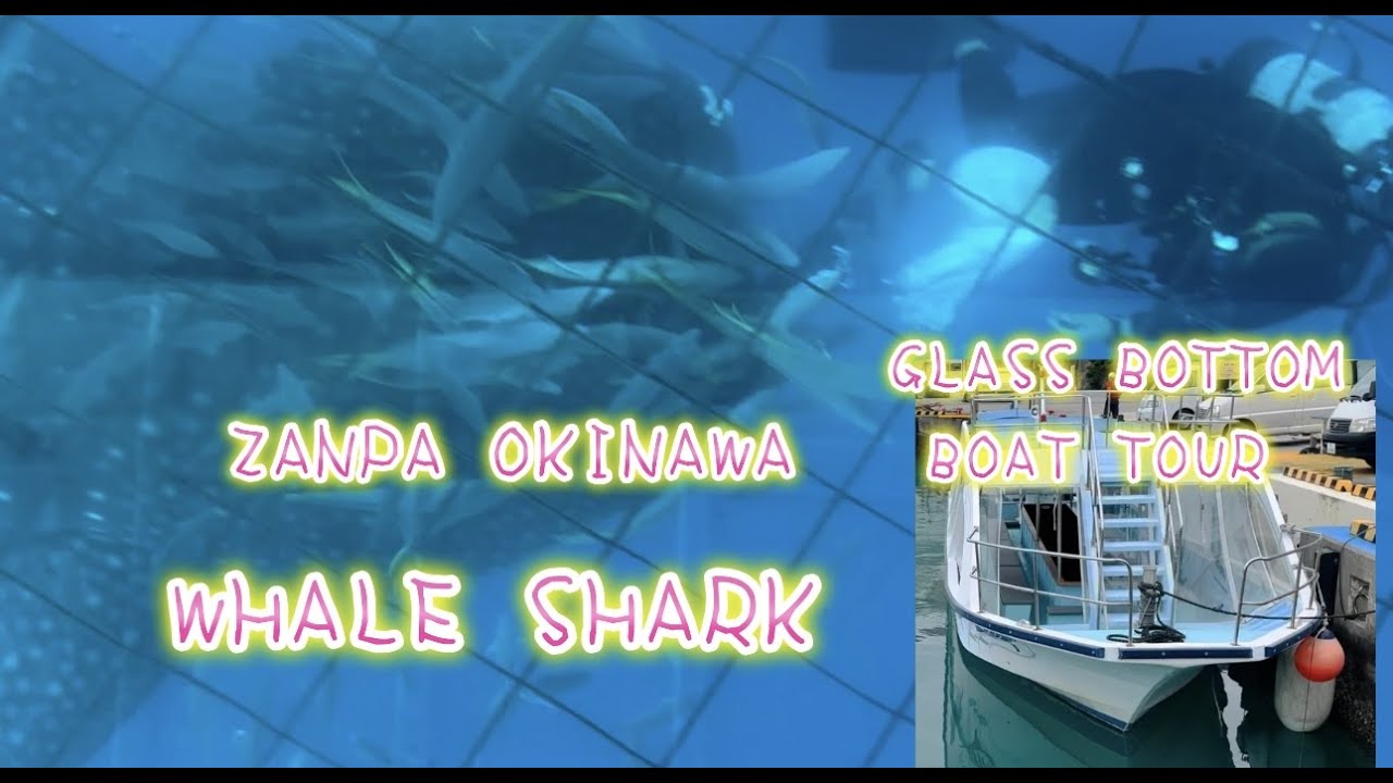 GLASS BOTTON #boattour Experience #whalesharkwatching Okinawa Japan:GG ...