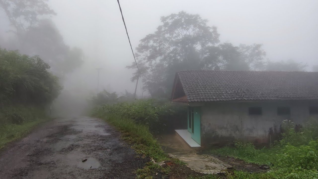 Seperti ini perjalanan turun gunung dari pucuk ibun,kabut pekat hutan ...