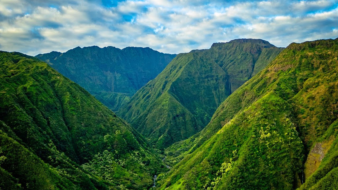 2024 Year In Review - YouTube