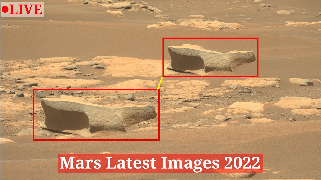 Mars Rover Latest Images | Marte Perseverance SOL 202 - YouTube