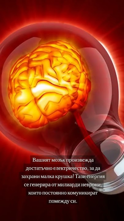 5 невероятни факта за мозъка Youtube
