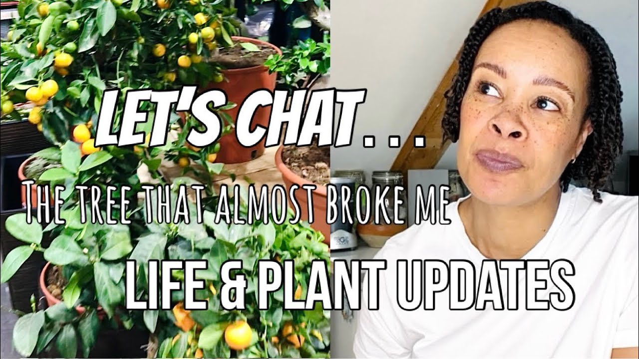 Plant Parenthood 🪴 Life & Plant Updates 🧐 - YouTube