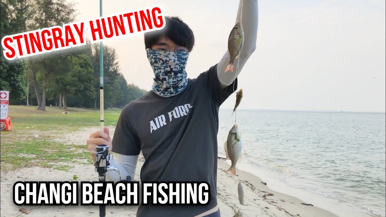 Fishing at Changi Beach | Hunting for Stingrays (Part 4) - YouTube