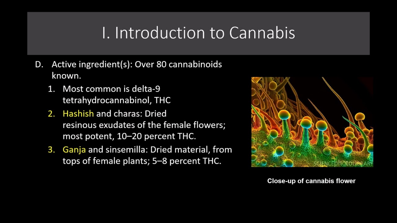 Physiological Effects Of Weed