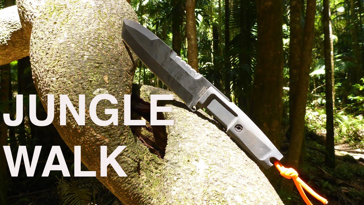 Exploring the Jungle - YouTube