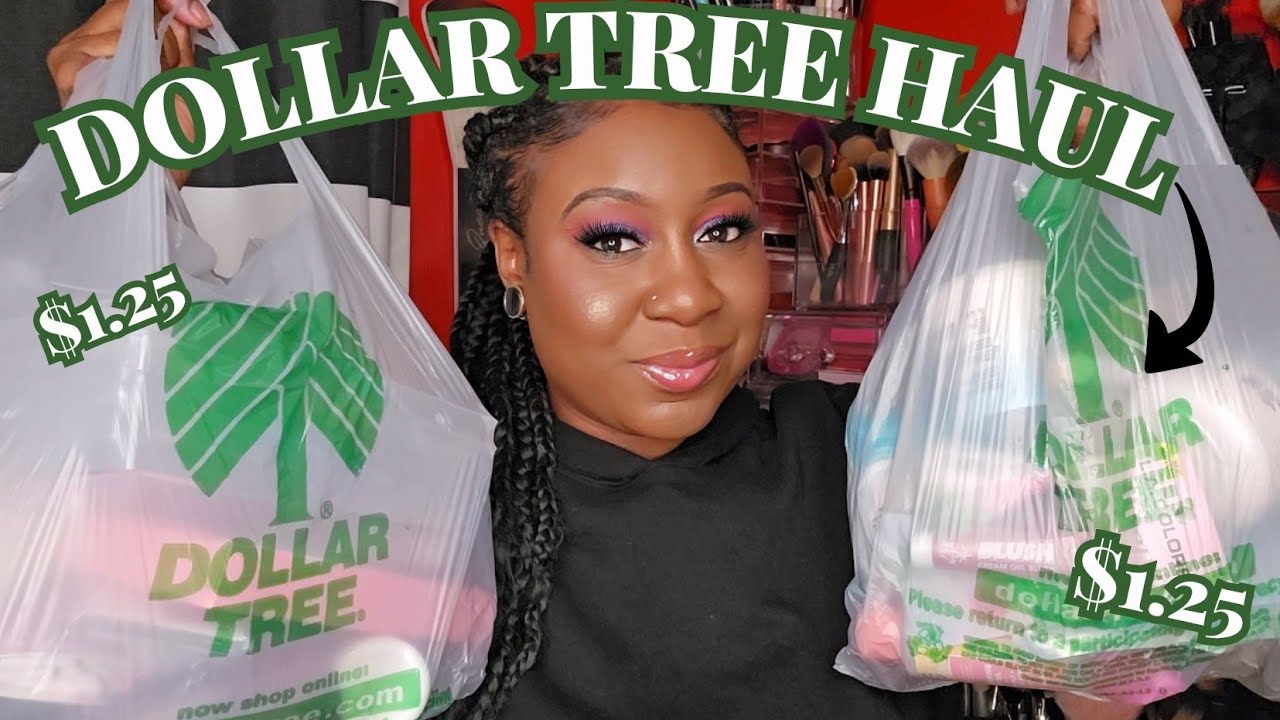 DOLLAR TREE HAUL 2025 - YouTube