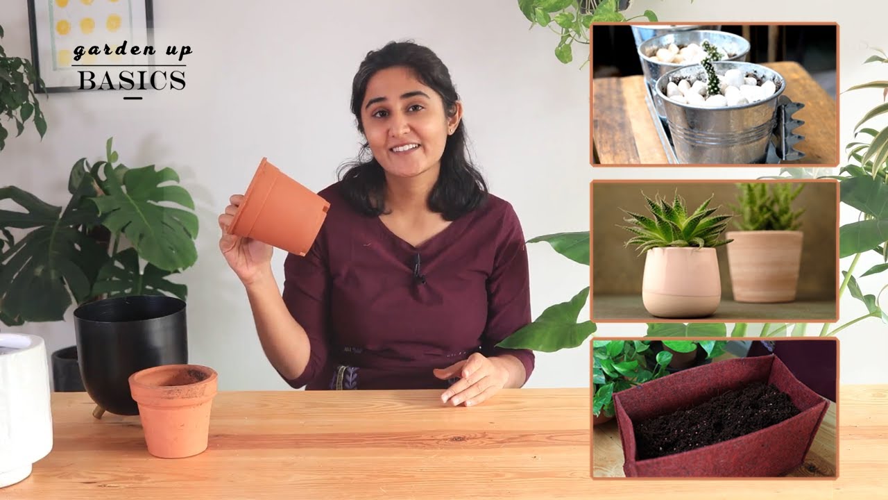 Before you buy a new pot, top 3 things you must know! | Garden Up ...