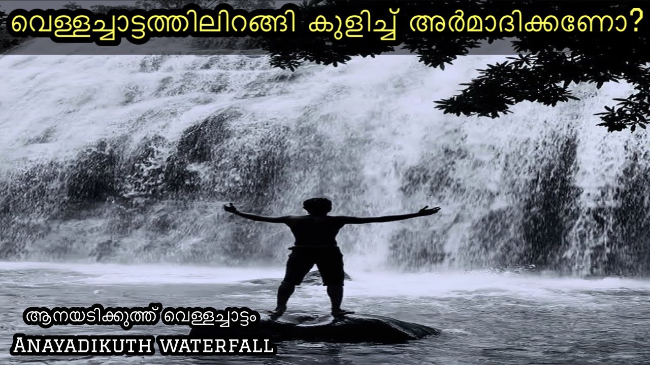 Anayadikuthu waterfall | Anayadikuthu waterfall thodupuzha | idukki ...