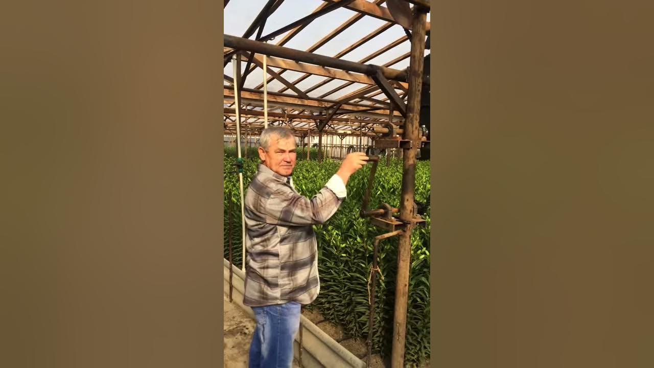 Супер окна в теплице. Самодельный механизм открывания сразу 10 окон ...
