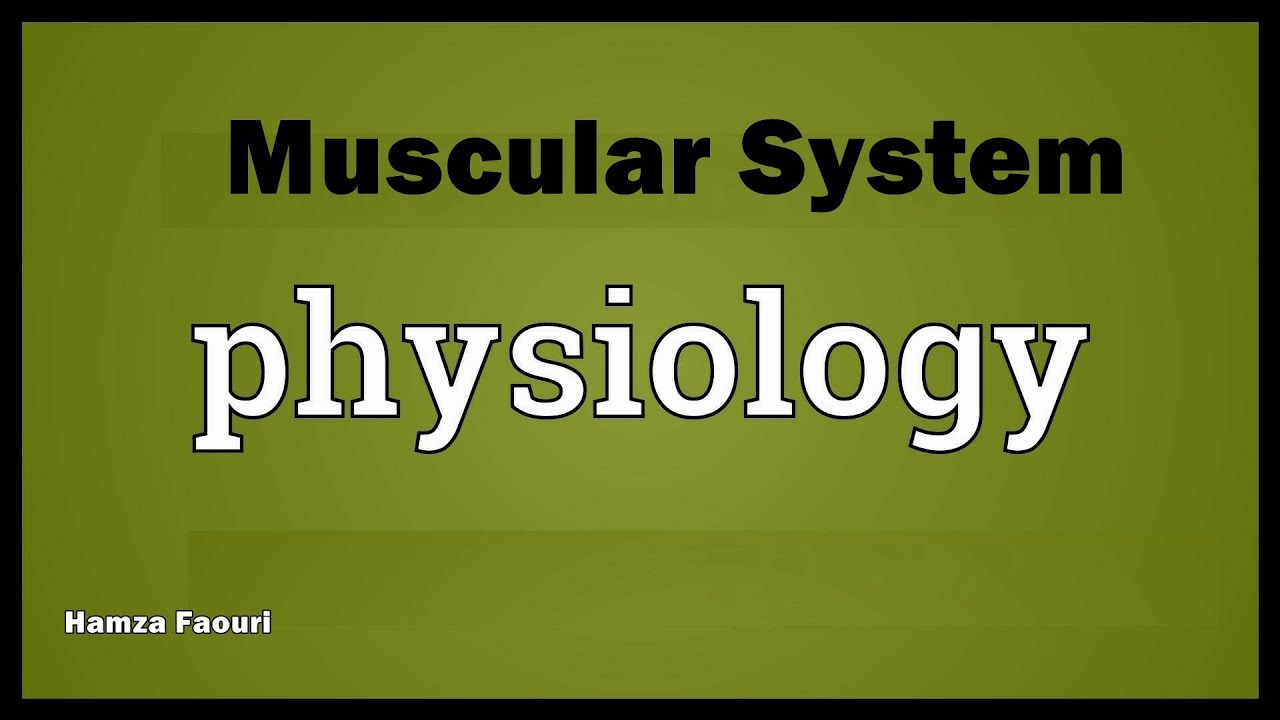 فيسيولوجيا الإنسان (Muscular System chapter 9 ) - YouTube