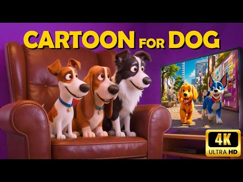 Köpek Çizgi Filmi: Evde Yalnız Kalan Köpekler İçin Rahatlatıcı Köpek TV'si – Can Sıkıntısını Gideren