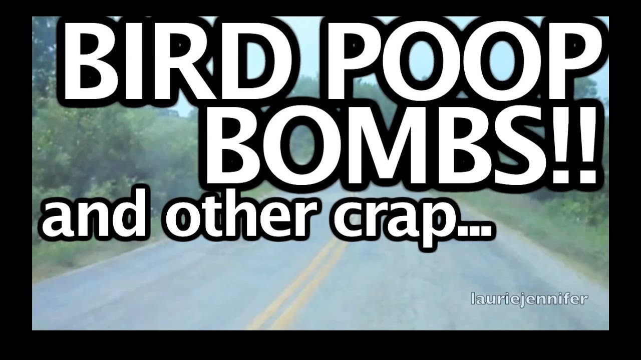 Bird Poop Bombs (and other crap) - YouTube