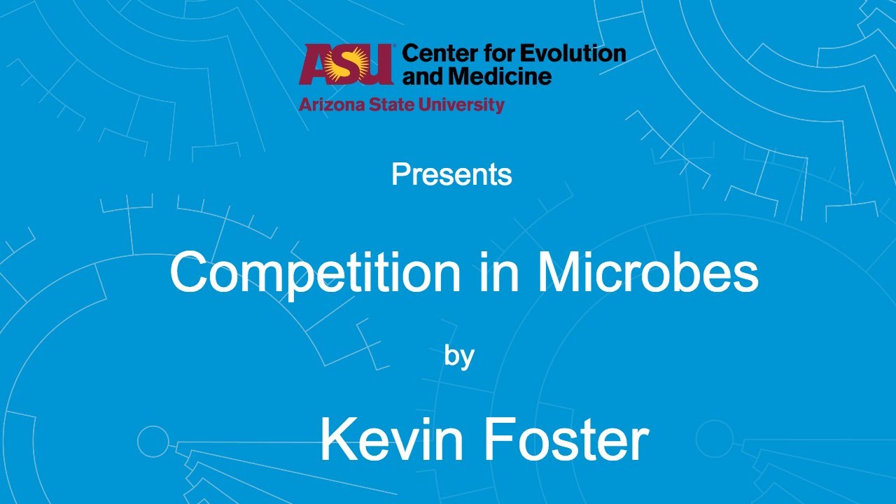 Competition in Microbes | Kevin Foster - YouTube
