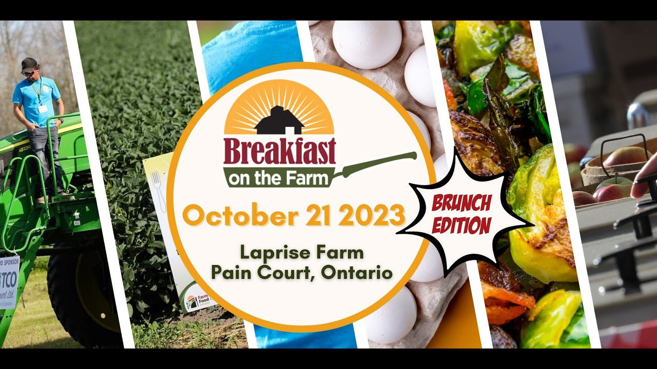 Breakfast on the Farm: Brunch Edition - YouTube