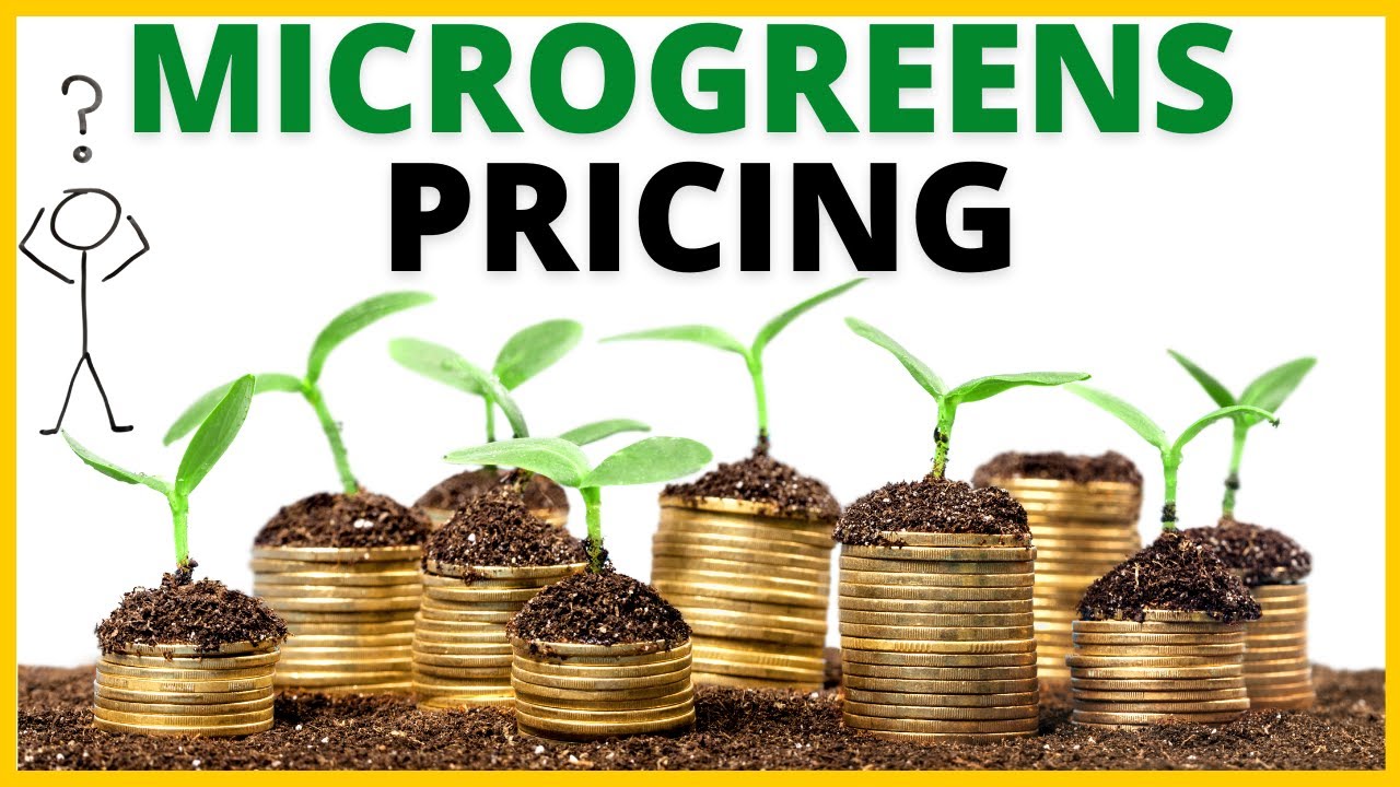 How To Price Your Microgreens - YouTube