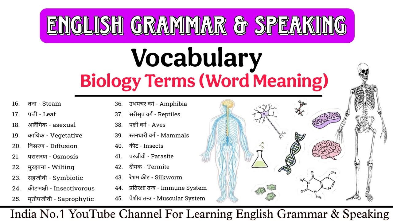 Vocabulary | Biology | 35000 Word Meaning in hindi and English ...
