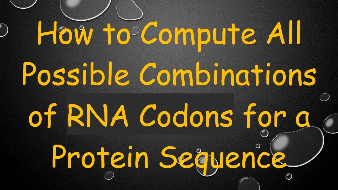 How to Compute All Possible Combinations of RNA Codons for a Protein ...