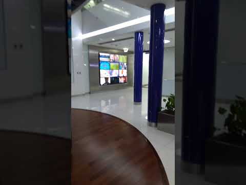 Qatar Bein Sports