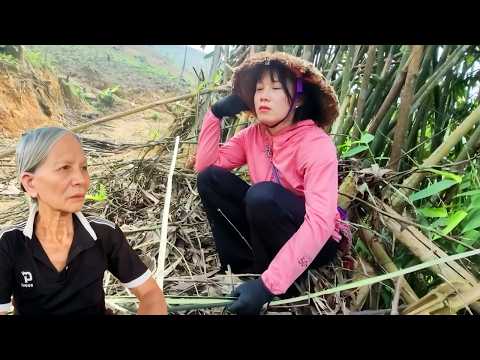 The old woman was quite worried about Minh Ha going to work alone