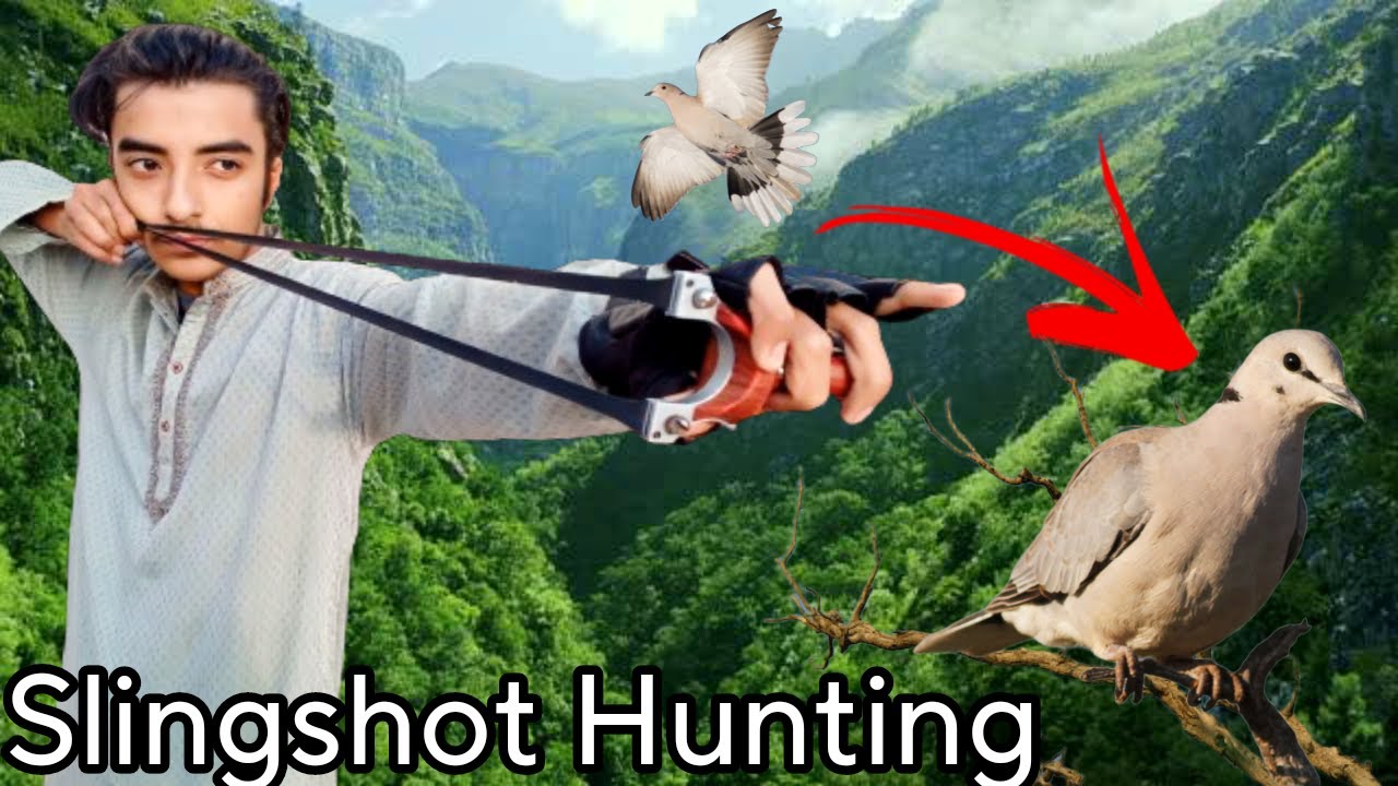 Slingshot dove & water birds hunting - YouTube