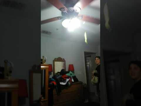 Worm On a String: Tied To a Ceiling Fan - YouTube