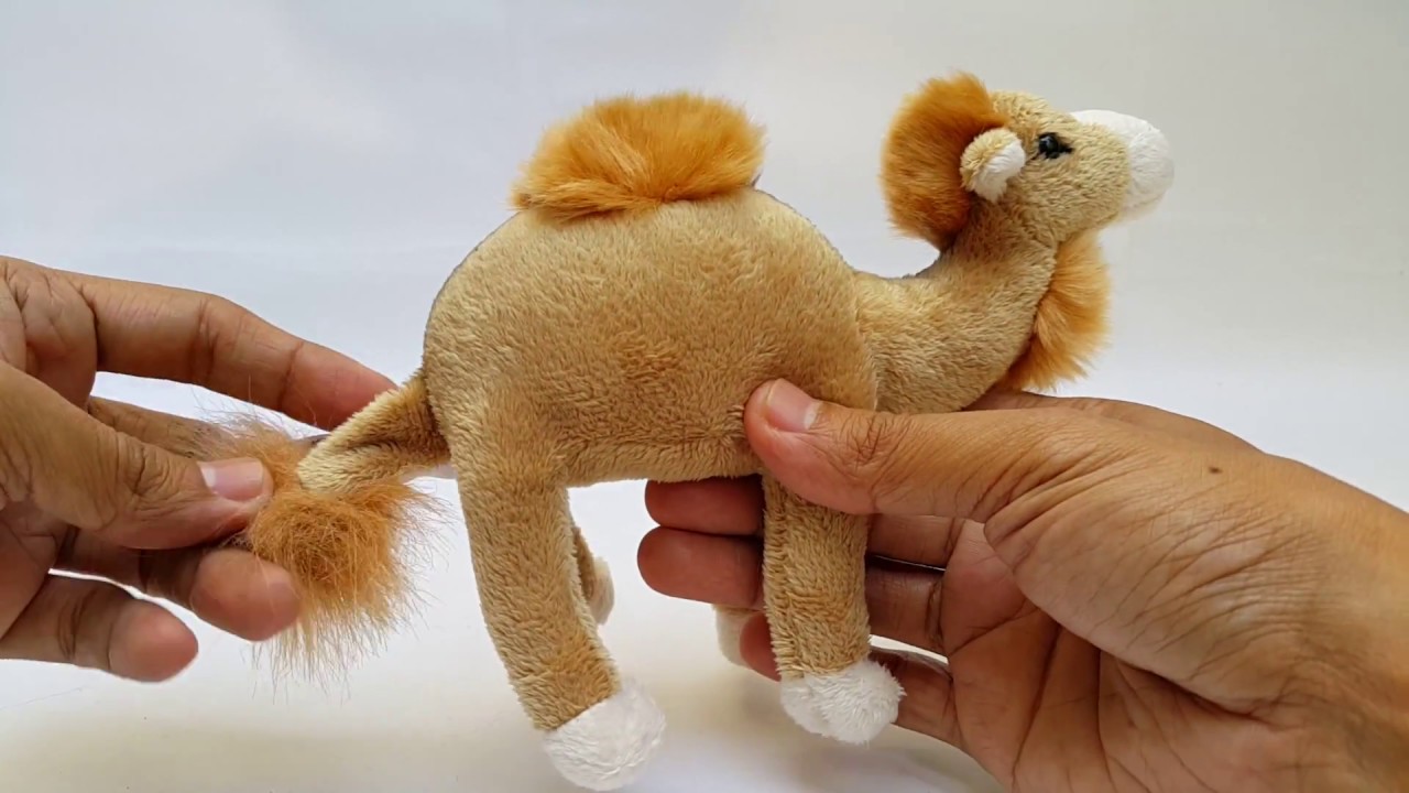 Boneka Hewan Unta (Camel) Original OZco SOZ016 - YouTube