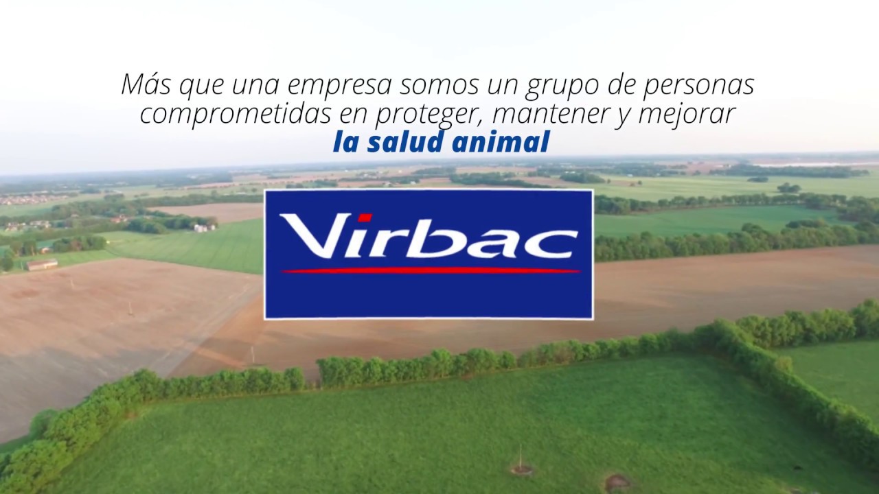 Comercial IMVAB 0.01 - YouTube