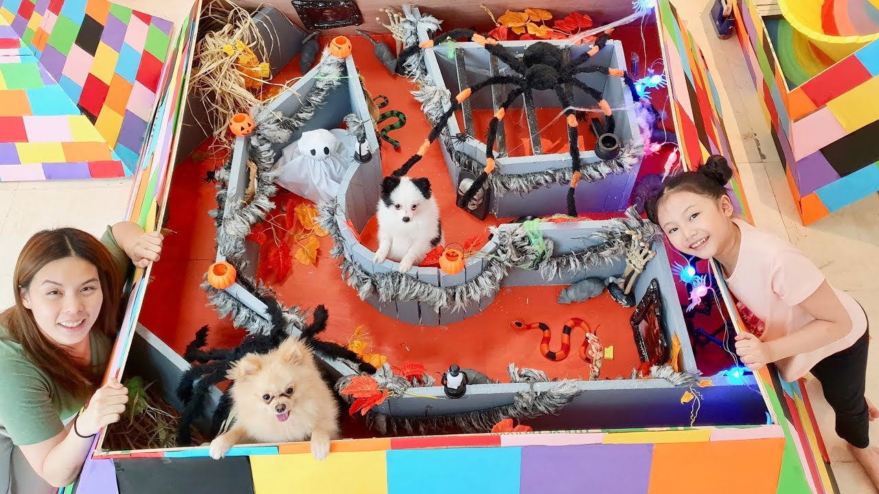 Bug and Giant Box Fort Maze - YouTube