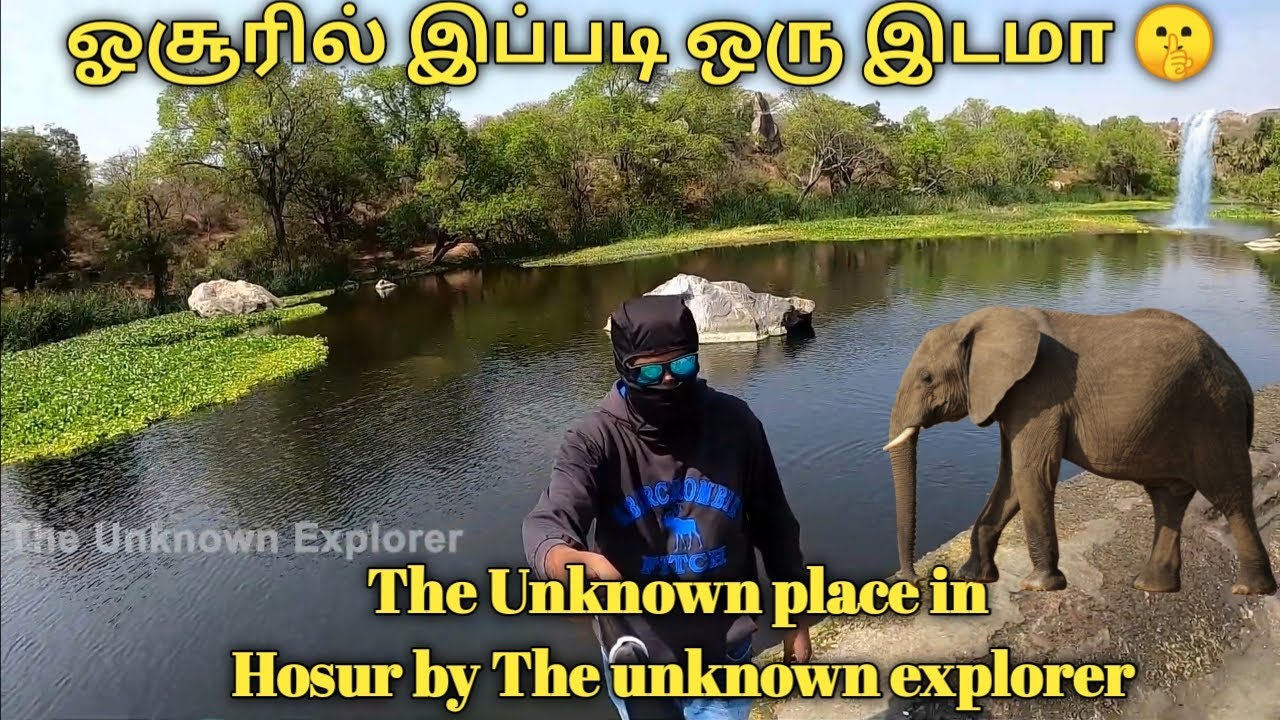 The Unknown place in Hosur/ Water Falls/ Forest/ Elephants - YouTube
